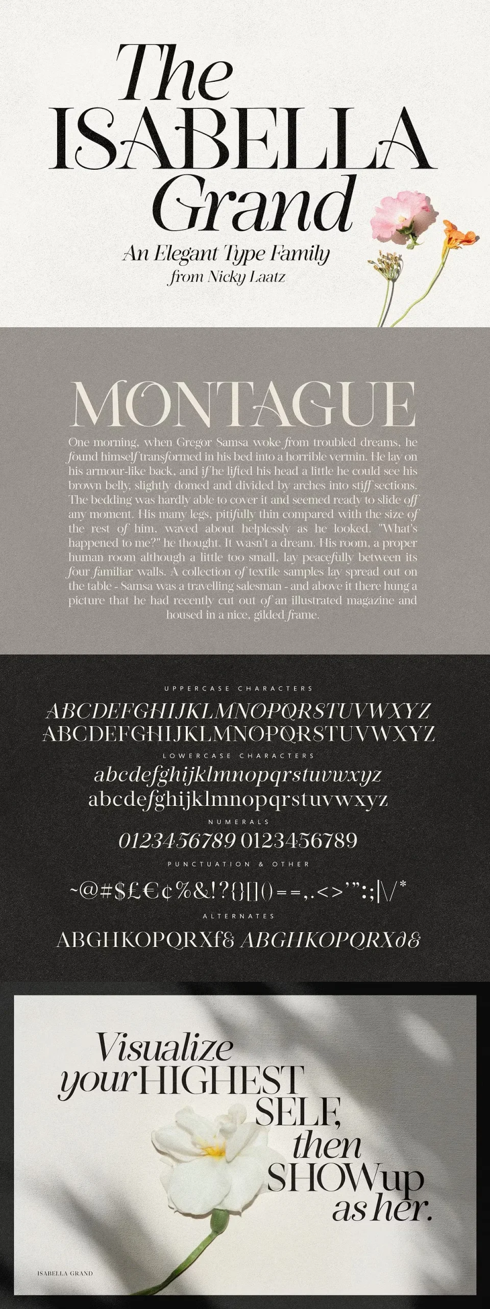 Isabella Grand Typeface - Zupppa | Design Resources