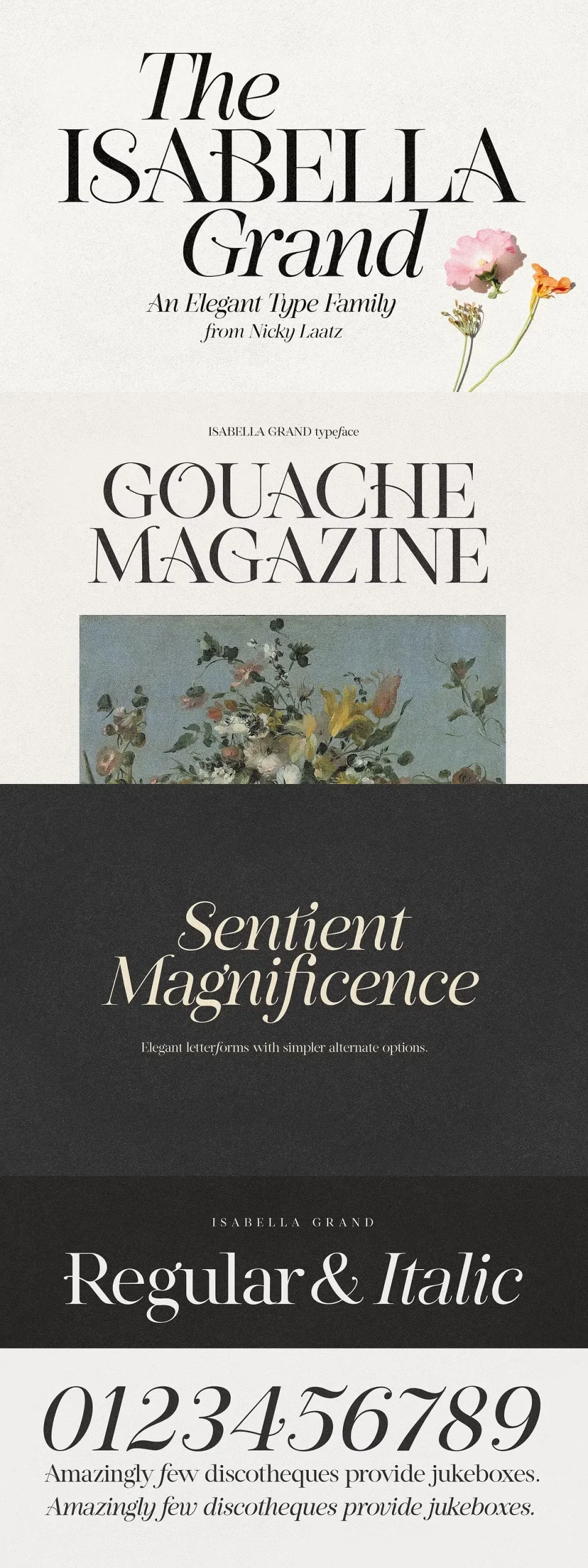 Isabella Grand Typeface - Zupppa | Design Resources